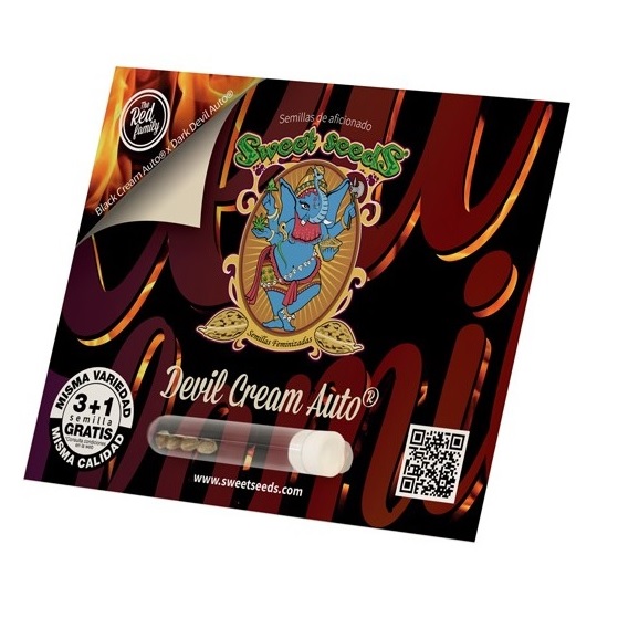 New York City CBD Auto (3+1) Pyramid Seeds – Natales Growshop