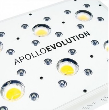 Led Apollo Evolution 6 180W – Natales Growshop